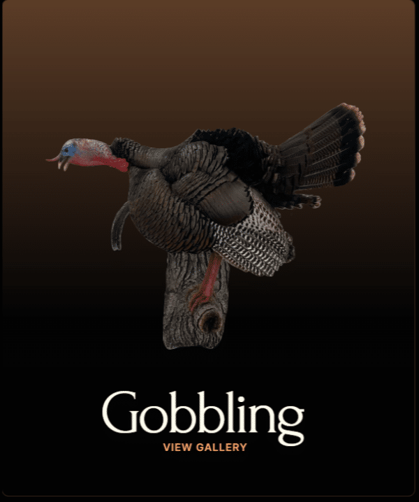 Turkey Taxidermy Mounts | Best Turkey Taxidermy in Wisconsin Stehling's ...